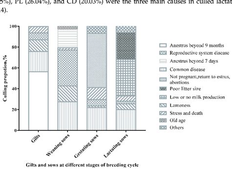 Culling Reasons Distribution In Gilts And Sows At Different Stages Of Download Scientific