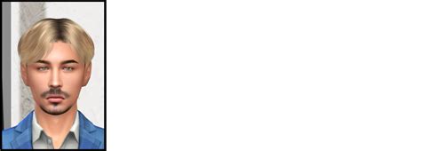 Replacing Non Player Sims Expansion Packs And Random Sims The Sims General