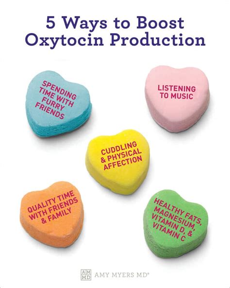 Oxytocin Function How To Increase Oxytocin Effects And Benefits Oro