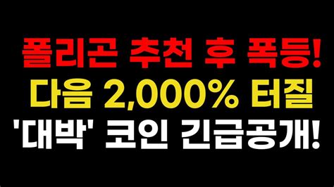 메리 크리스마스 미친 수익 고대하는 업비트 Btc 코인니어프로토콜 리플 폴리곤 비트코인 이더리움 샌드박스 보라