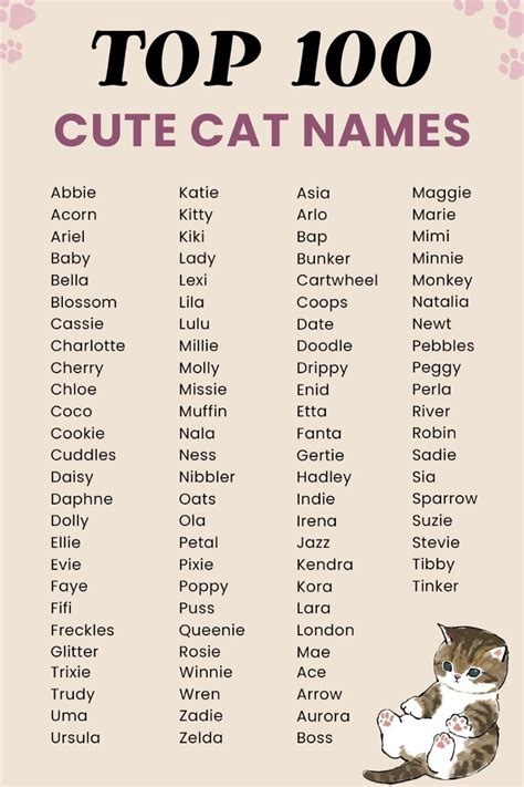 Top 100 Cat Names Female Cat Names Artofit