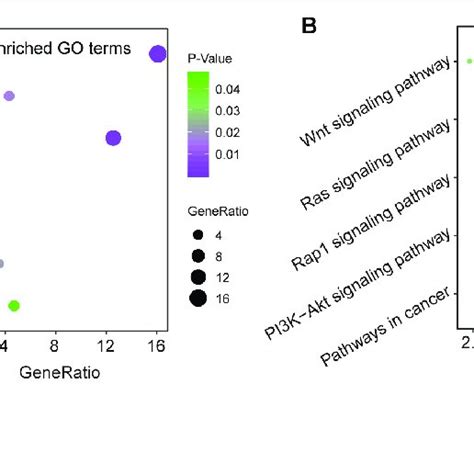 In Silico Functional Analysis Of The Coding Non Coding Rna Signature Download Scientific