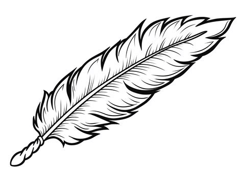 Colorful Feather Design Coloring Page
