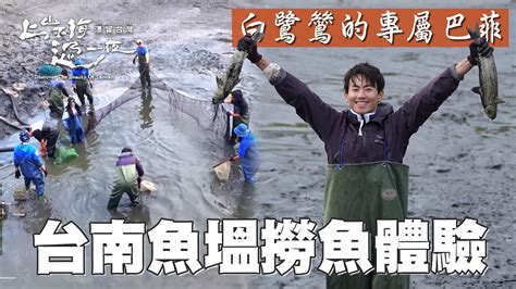 台南魚塭體驗抓魚樂趣 還能觀賞白鷺鷥和黑面琵鷺 在半露天的三合院品嚐外地吃不到的烏魚料理 大廚的手藝令人讚不絕口｜上山下海過一夜 漂流台灣