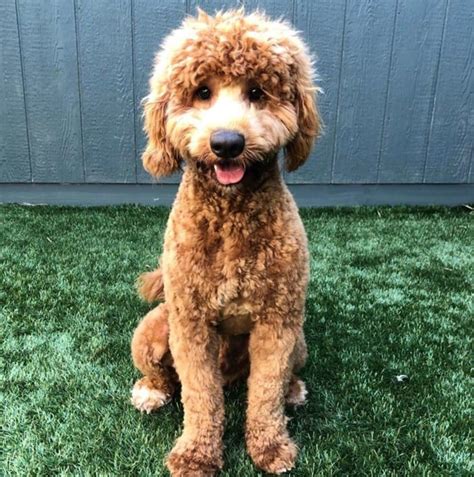 My Day ကိုယ်မင်းအတွက် အချိန်တိုင်းအား ပါတယ်🙂