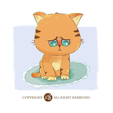 动物 委屈的猫咪