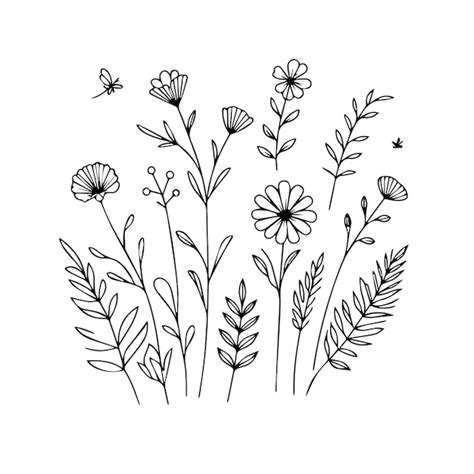 Premium Vector Minimal Botanical Graphic Sketch Drawing Trendy Tiny