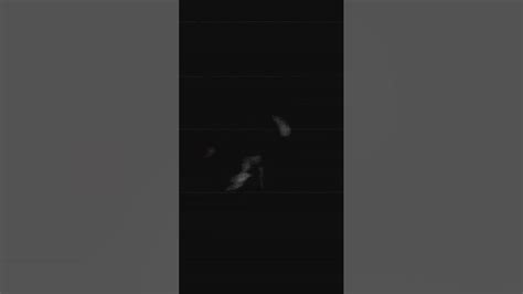 мертвая кошка Youtube