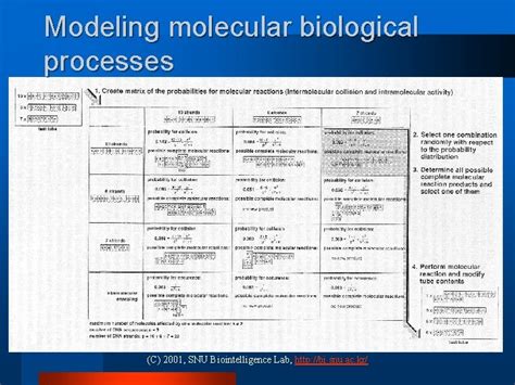An Objectoriented Simulation Of Real Occurring Molecular Biological