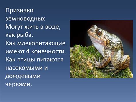 На суше и в воде презентация онлайн