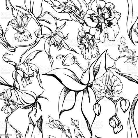 손으로 그린 벡터 잉크 난초 꽃과 가지 단색 자세한 개요 크리스탈 형태의 매끄러운 패턴 흰색 배경에 격리 벽 예술 결혼식 인쇄 문신 표지 카드 0명에 대한 스톡 벡터 아트