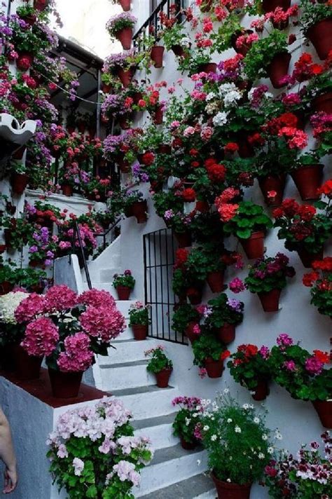 ლამაზი სახლები რომლებიც უბრალოდ ყვავილების ზღვაში არიან ჩაფლულნი