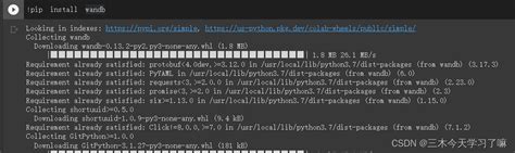 【目标检测算法】利用wandb可视化yolo v5模型的训练 yolo wandb csdn博客