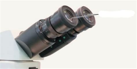 A And P Microscope Flashcards Quizlet