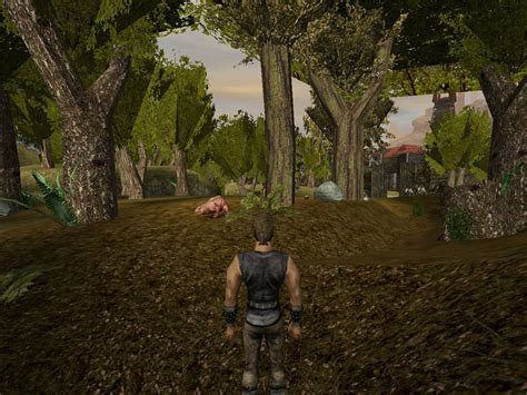 Release Textures Patch For Gothic 1 08 Beta