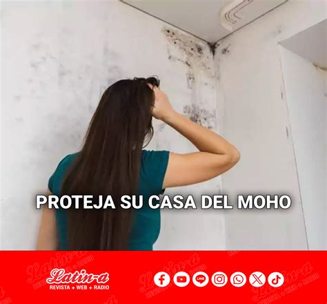 Proteja Su Casa Del Moho Latin A Noticias De Japón