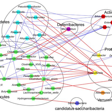 Correlation Network Generated Using The Sparcc Algorithm Each Node In