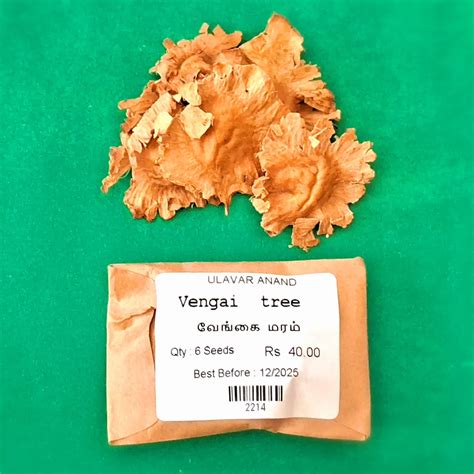 Vengai Maram Pterocarpus Marsupium வேங்கை மரம்