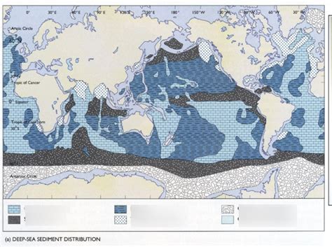 Deep Sea Sediment Distribution Diagram Quizlet