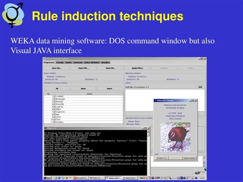 Ppt Rule Induction Techniques For Detecting Endocrine Disruptors In North Sea Ecosystems