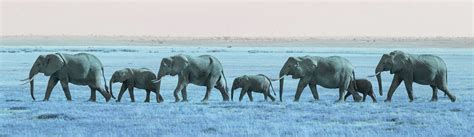 Postgres Weekly Issue 506 May 17 2023