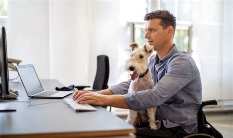 PIP Update The 19 Conditions That Qualify For PIP Could You Get 7 296 A Year Personal