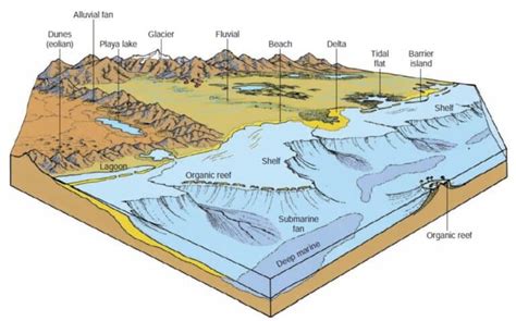 Depositional Environments Of Sedimentary Rocks Hamed Geo