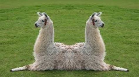 How To Turn Off Many Leds Controlled By 74hc595 With A Transitor Page 3 Leds And