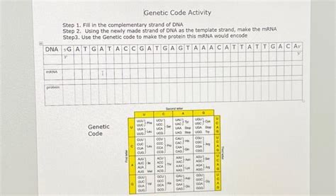 Solved Please Fill Out The Sequences Inside The Of The Boxes