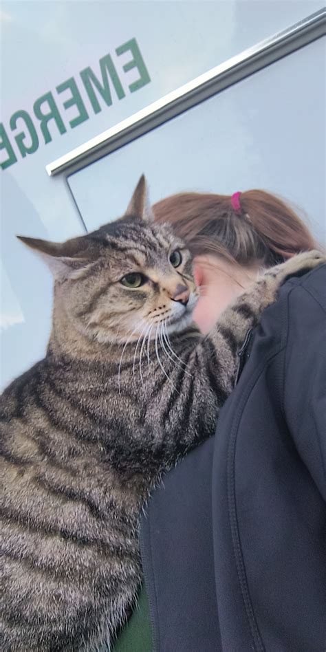 Chonk Station Kitty R Ems