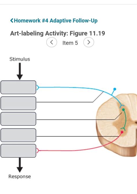 solved stimulus response