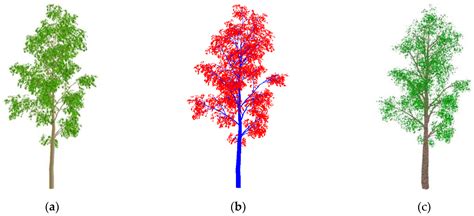 Remote Sensing Free Full Text Reconstruction Of Single Tree With Leaves Based On Terrestrial