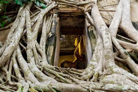 เปิดตำนาน หลวงพ่อนิลมณี วัดบางกุ้ง มีอายุกว่า 258 ปี