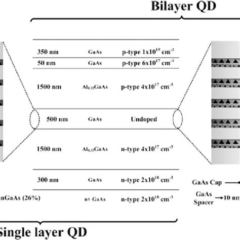 Schematic Diagram Of Single Layer Left And Bilayer Right Qd Laser
