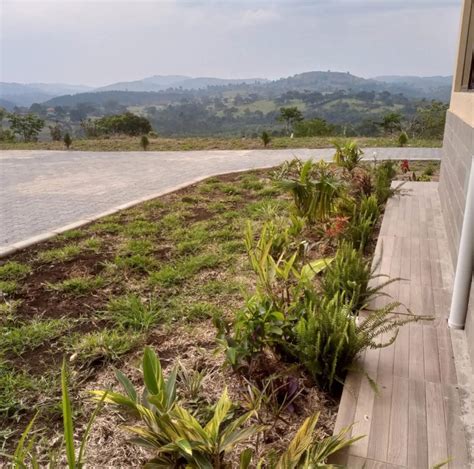 Benefits Of Mulching