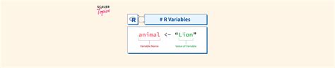 R Variables Scaler Topics