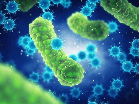 Pathogen Detection Streamline Scientific