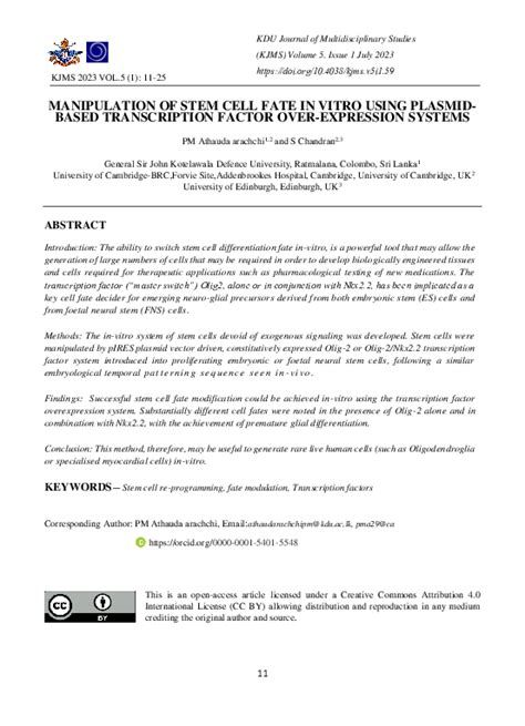 Pdf Manipulation Of Stem Cell Fate In Vitro Using Plasmid Based