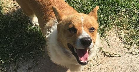 Chowder Album On Imgur