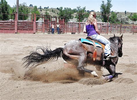 Real Homemade Cell Pics Of Me Porn Pictures Xxx Photos Sex Images 478704 Pictoa