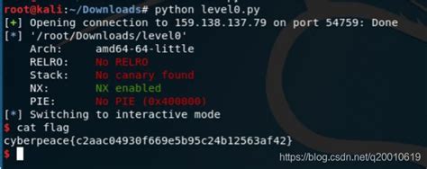 Ctf中的常见python库（base64、pillow、requests、pwn）ctf常用python库 Csdn博客