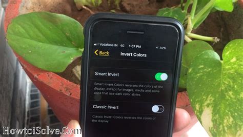 How To Open Pdf On Iphone Xr Robert Mile S Reading Worksheets