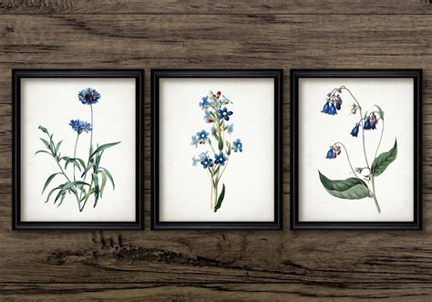 Blue Flowers Wall Art Set Of 3 Printable Blue Flower Blue Botanical