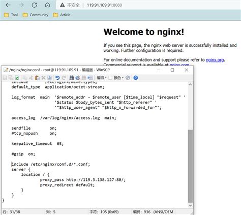 Docker Nginx 安装与配置 微笑刺客D 博客园