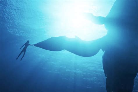 Download Avatar The Way Of Water Underwater Scene Wallpaper Wallpapers Com