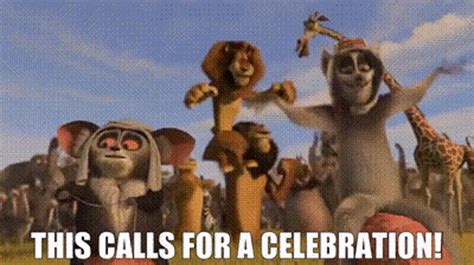 Flutter Pub Dev Search Finally Works By Yuri Novicow Easy Flutter Medium