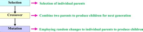 steps involved in genetic algorithm⁸⁶ download scientific diagram