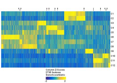 93 Identifying Marker Genes Archr Robust And Scaleable Analysis Of Single Cell Chromatin