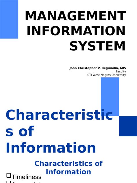 2 Mis Information System Pdf