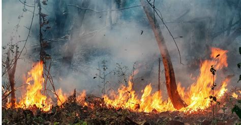 Singapore Air Quality Index Aqi And Singapore Air Pollution Iqair